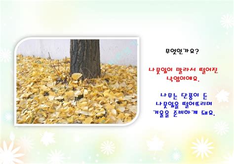 식물의 겨울나기 이야기 나누기 상호작용 겨울프로젝트 식물 나무프로젝트 계절 풀 모의수업 수업자료 유치원 어린이집 유아교육 겨울눈 한해살이풀