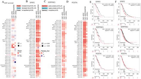 Identifying Explainable Machine Learning Models And A Novel Sfrp2 Fibroblast Signature As