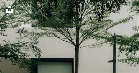 차에 기대어 있는 남자와 여자 사진 Unsplash의 무료 부부 이미지