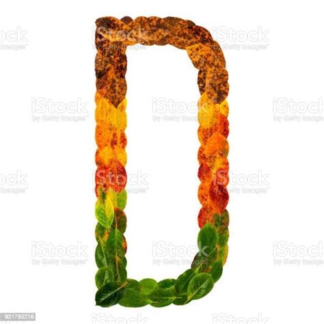 가 단풍 밝은 편지 디 자연 멀티 레이어 잎 흰색 배경에 고립 된 생활 알파벳 문자 글꼴의 다채로운 문자입니다 장식 디자인 비문 요소 자연입니다 0명에 대한 스톡 사진 및