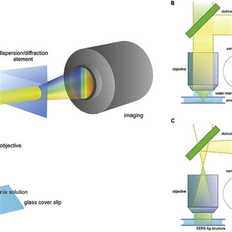 Concept Of The Experimental Set Up A Optical Pathway With An Immersed