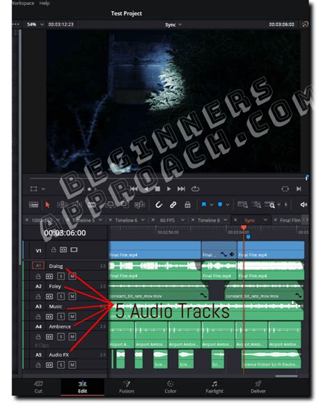 DaVinci Resolve Export Multiple Audio Tracks Use THIS Setting