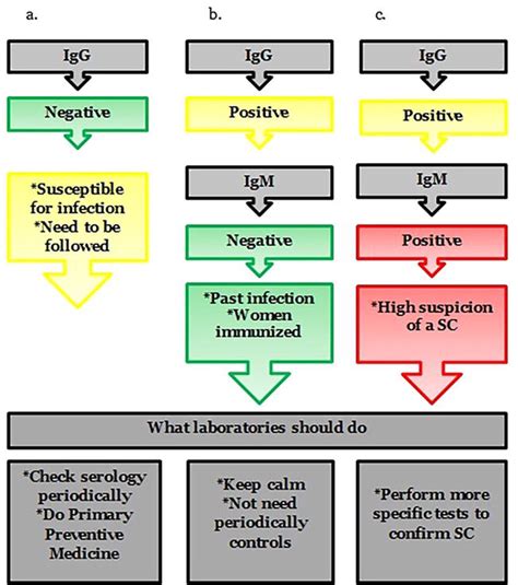 The Important Role Of Laboratories In The Diagnosis And Prevention Of