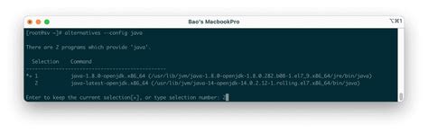 upgrade java 8 to java 14 on centos 7