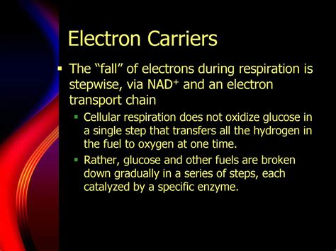 Cellular Respiration Ppt Download