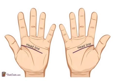 Palm Reading Guide How To Read Palms And Understand Your Personality YourTango