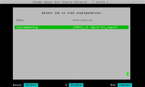 Viewing List Of Backup Jobs Veeam Agent For Oracle Solaris User Guide