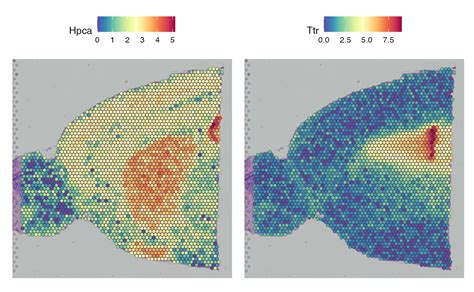 Estimating Microenvironment From Spatial Data • Niches