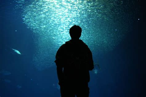 Marine Biology Class Takes Field Trip To Monterey Single Post