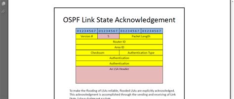 Python Networking Security Virtualization Fundamentals OSPF Packet