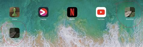 Duplicate Icon Bug Anyone Experiencing This Latest IOS R Ipad