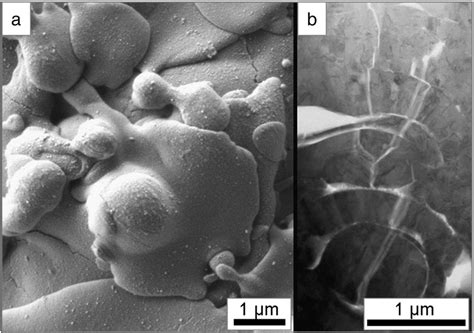 Comparison Between Sem Micrograph Of Coating Surface A And Tem