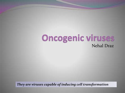 Ppt Oncogenic Viruses Powerpoint Presentation Free Download Id2924668