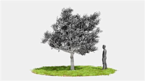 Model Tree With Looped Wind Animation Model TurboSquid