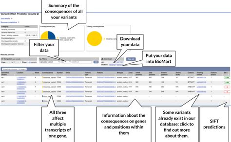 Annotating Genetic Variants With The VEP Demo