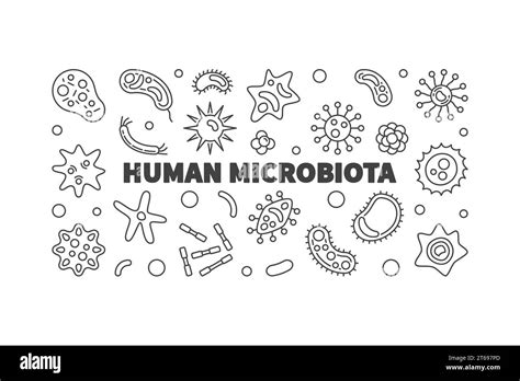Human Microbiota Vector Concept Horizontal Illustration In Outline