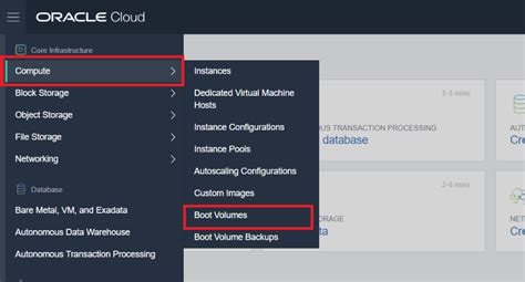 block boot volume online resizing without downtime