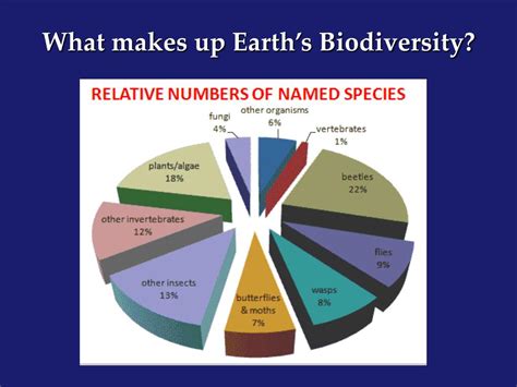Ppt Biodiversity Powerpoint Presentation Free Download Id5174571