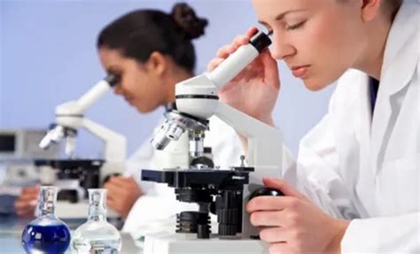 Microbiological Testing Service In Raigad Id 20686532662