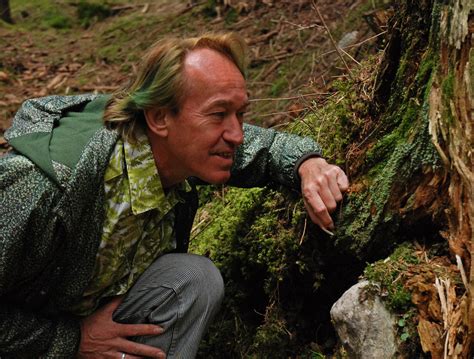 Patrick Blanc Looking At Mosses At The Base Of A Tree Trunk French