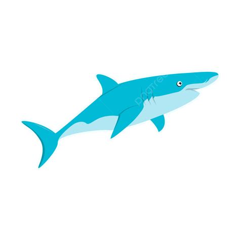 Shark Cartoon Vector Hd Images Shark Cartoon Vector Shark Vector