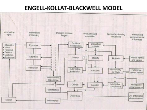 Consumer Behaviour And The Evolutionary Aspects Ppt