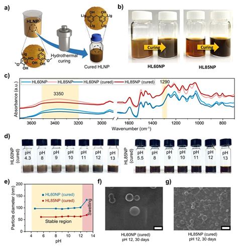 Hydrothermal Processing For Internal Crosslinking Of Nanoparticles