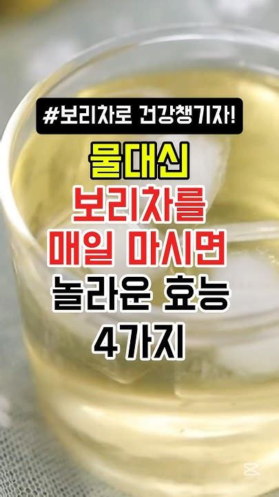 물대신 보리차를 매일 마시면 놀라운효능 네가지 보리차 건강효능 콜레스테롤감소 식이섬유 수분공급 장건강 탈수예방 여름건강 신장질환주의 건강한습관 건강정보 보리차효능