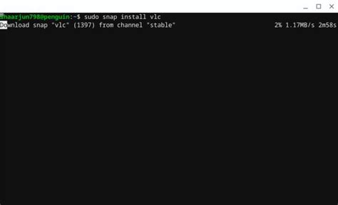 How To Install Flatpak And Snap Store In Linux On Chromebook Beebom