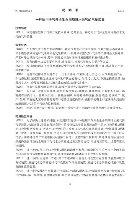 适用于气井全生命周期排水采气的气举装置 pdf