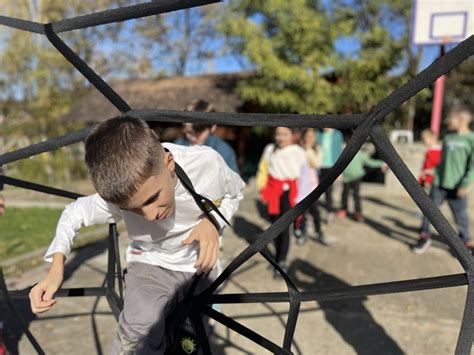 Praid Harghita 2022 Tabere Pe Terra