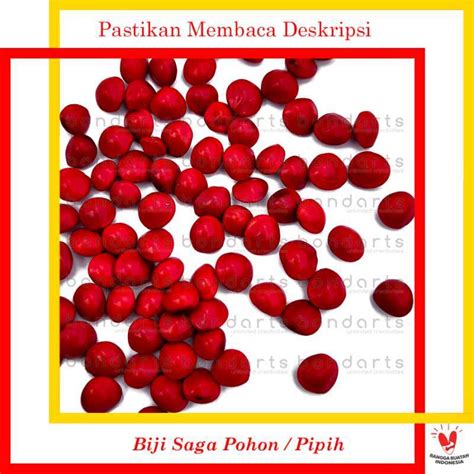 Jual Aneka Biji Bijian Bondarts Prakarya Sekolah Meronce Biji Kolase Biji Di Seller Bondarts