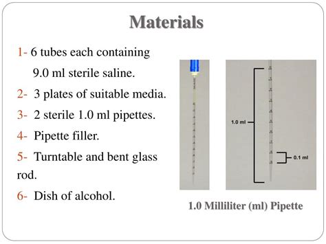 Ppt Enumeration Of Microorganisms Powerpoint Presentation Free Download Id 1922733
