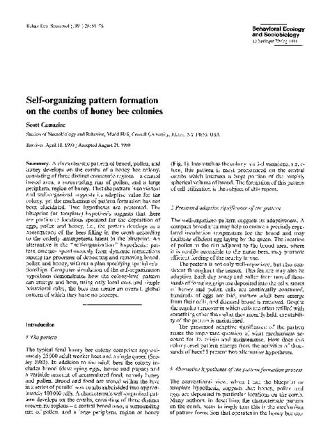 Pdf Self Organizing Pattern Formation On The Combs Of Honey Bee Colonies