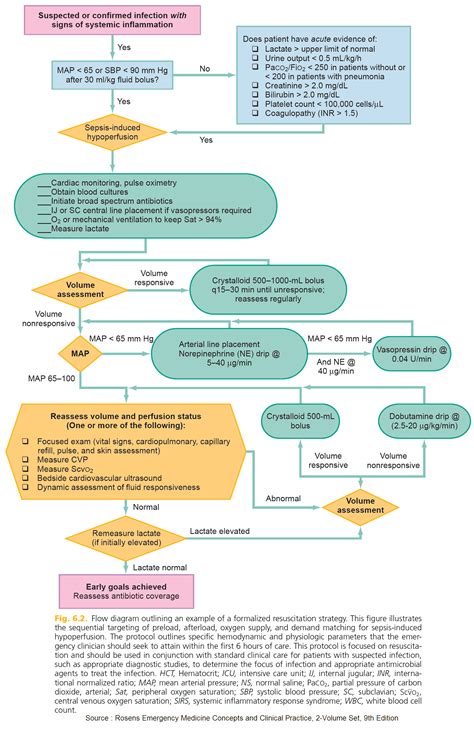 Algorithm For Diagnosis Of Sepsis Associated Encephal
