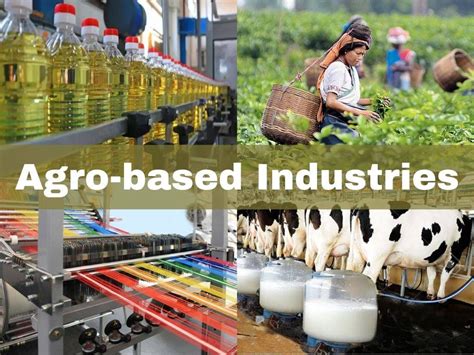 What Are The Types Of Industries Based On Raw Materials At George