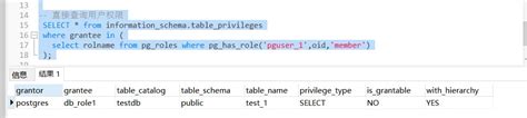 Postgresql 数据库用户权限授权（用户角色分配模式） 阿里云开发者社区