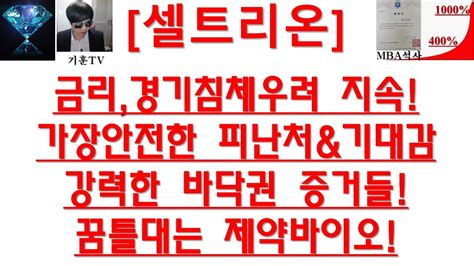 주식투자 셀트리온금리경기침체우려 지속가장안전한 피난처and기대감강력한 바닥권 증거들꿈틀대는 제약바이오 Youtube