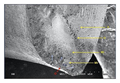 Sem Photomicrographs Of Fracture Surfaces At X50 Magnification Af