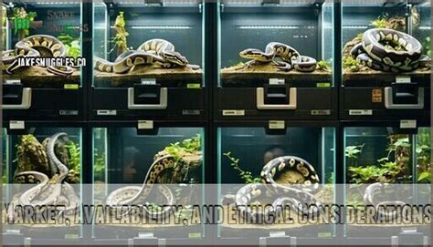 Axanthic Ball Python Morphs Complete Facts Genetics And Care Guide