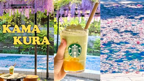 도쿄 근교 여행｜나혼자 1박 가마쿠라 여행 🚃｜세젤예 스타벅스🌸｜고민가 카페투어｜에노덴 힐링여행🌿 Youtube