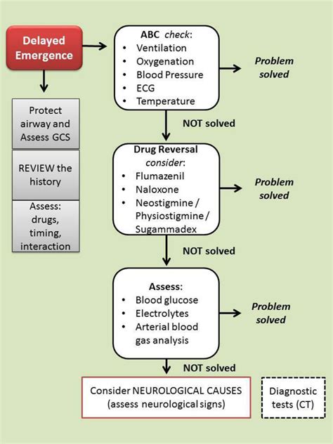 Delayed Emergence From Anesthesia Anaesthesia News