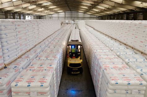 Borouge reports 22% increase in Q3 net profit for 2023