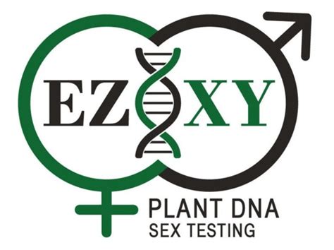 Fig Leaf Sex Test Find Out If Fig Tree Or Seedling Is Male Caprifig Figfair Fig Leaf Sex Test Find Out If Fig Tree Or Seedling Is Male Caprifig Figfair