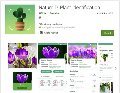Best Tree Identification Apps For Android IOS