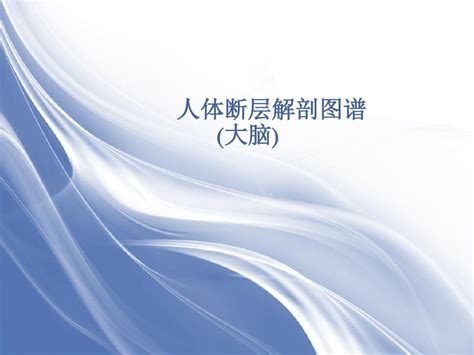 人体断层解剖图谱word文档在线阅读与下载无忧文档