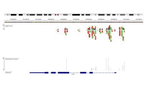 Pipelines For Dna Methylation Wgbsrrbs Data Analysis