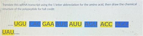 Solved Translate This MRNA Transcript Using The Letter Chegg Com