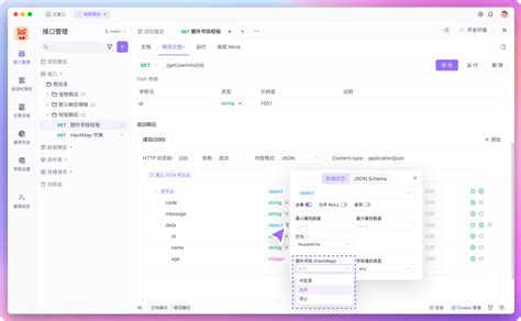 Apifox 接口文档额外字段 HashMap的校验设置你一定要知道