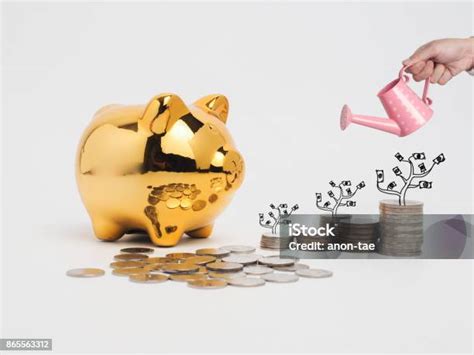 황금 돼지 저금통 흰색 배경에서 동전으로 가득합니다 절약 투자 다채로운 개념입니다 개념에 대한 스톡 사진 및 기타 이미지 개념 개념과 주제 경제 Istock